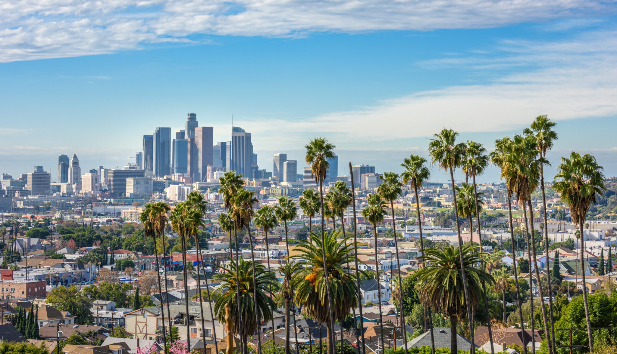 Securing Business Loans in Los Angeles: Your Complete Guide